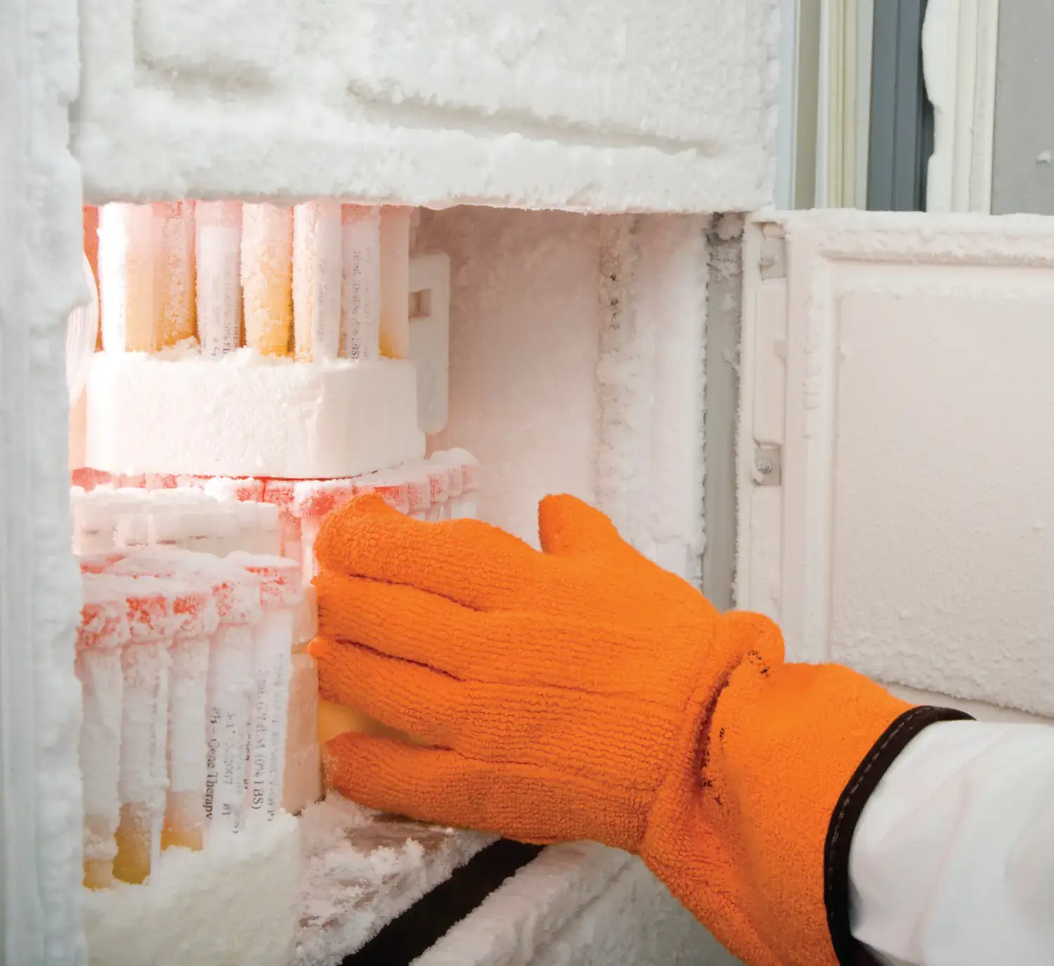 Warehousing and Fulfillment | Cold Chain & Kitting | Taylor